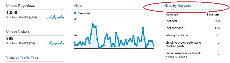 Website Visitor Report